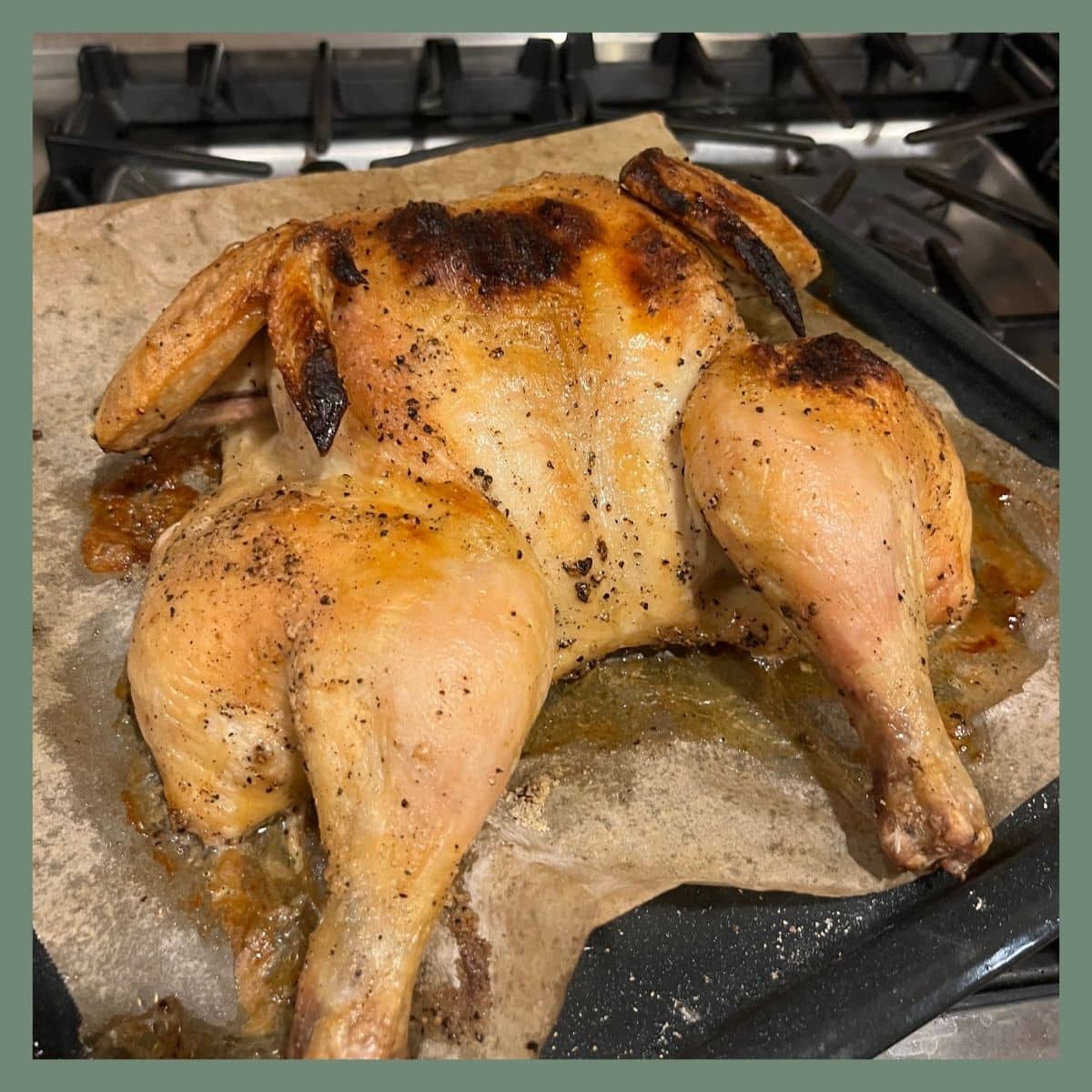 How to Spatchcock a Chicken: A Step-by-Step Guide - Goodley Living